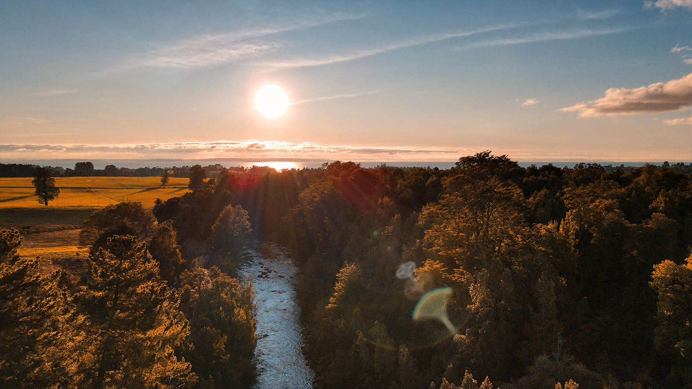 Bosques del Río - bosquesdelrio.cl